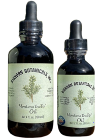 The Healing Power of Montana Yew Tips as Alternative Therapy